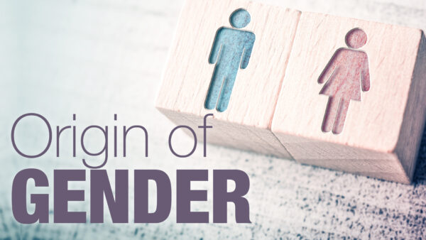 Origin Of Gender Apologetics Press