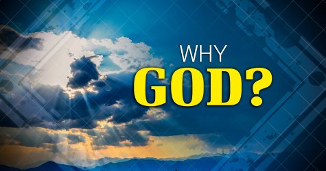 Videos - Apologetics Press