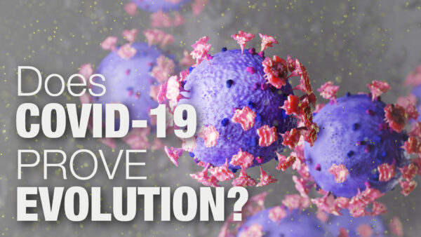 Going Viral: Exploring Virus Mutations and Evolution Using SARS-CoV-2 ...
