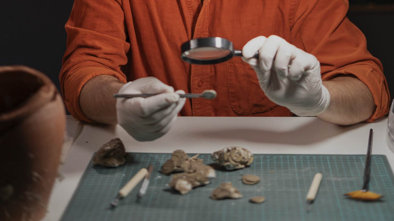 4 Reasons to Believe Evolution is NOT True - Apologetics Press
