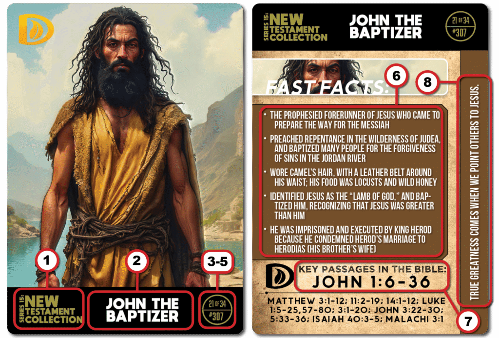 Discovery Bible Cards - Apologetics Press