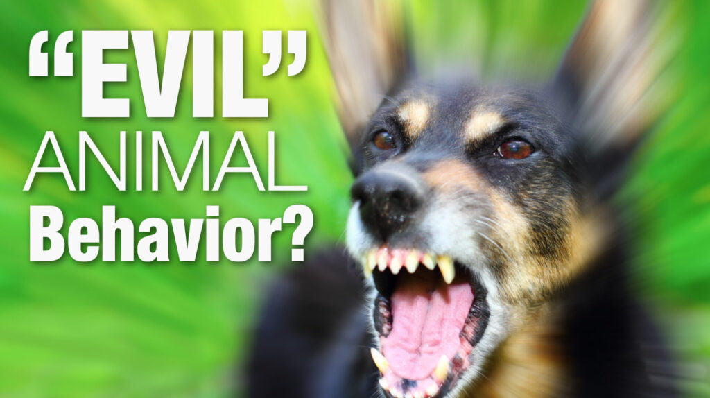 Secular Humanism and Evolution - Apologetics Press